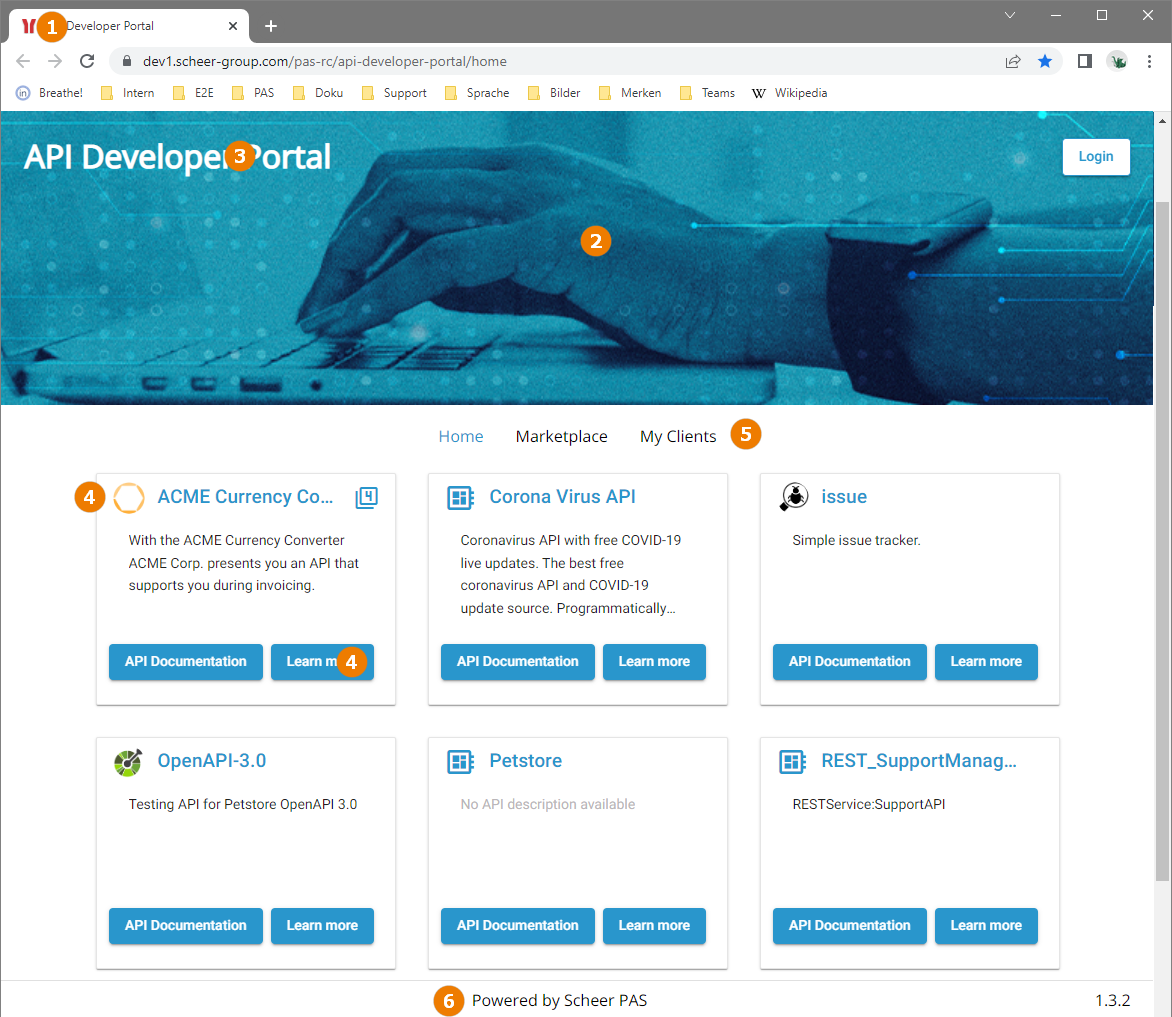 Customizing the API Developer Portal